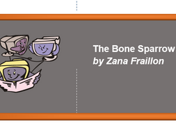 Activities based on the Bone Sparrow by Zana Fraillon | Teaching Resources