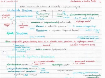 OCR A Level Biology Year 1/AS Revision Posters | Teaching Resources