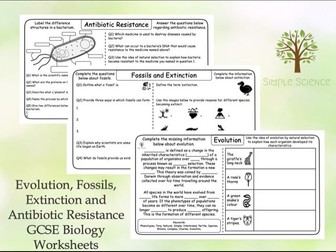 GCSE Biology Paper 2 - Inheritance, Variation and Evolution Worksheet ...