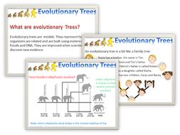 Evolutionary Trees | Teaching Resources