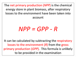 GPP, NPP & N (AQA A-level Biology) | Teaching Resources
