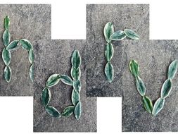 Full set lowercase leaf alphabet | Teaching Resources