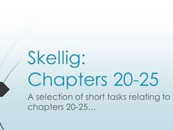 Skellig: Chapters 20-25 Activities | Teaching Resources