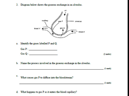Respiratory system - Year 8, KS3 stage | Teaching Resources