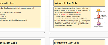 Stem cells A level Biology | Teaching Resources