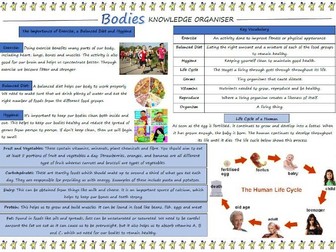 High Frequency Word Assessments x 4 | Teaching Resources