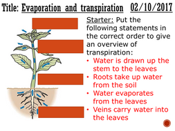 Evaporation and transpiration - complete lesson (GCSE 1-9) | Teaching ...