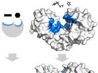 Biology, microscopes, cells, plants, enzymes, magnification - 15 ...
