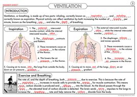 GCSE Biology Worksheet Pack on Gas Exchange (Breathing Topic ...