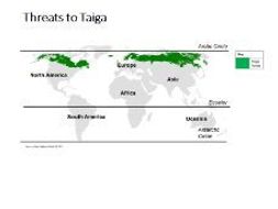 Threats to taiga forests | Teaching Resources