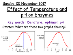 Effect of temperature and pH on enzymes | Teaching Resources