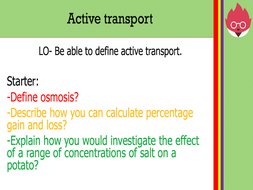 AQA GCSE Biology- Active transport | Teaching Resources
