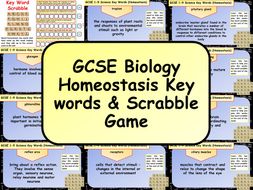 Free GCSE Biology (Science) Homeostasis Key words & Scrabble Game ...