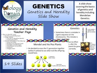 Genetics Bundle | Teaching Resources