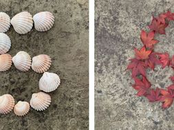 0-20 Pics created with natural objects | Teaching Resources