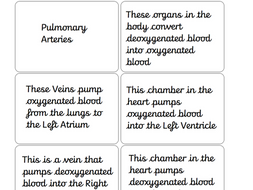 The heart circulatory system KS2 vocab matching cards | Teaching Resources