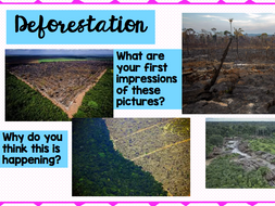 Deforestation Lesson Pack KS2 | Teaching Resources