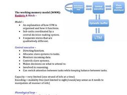 Working Memory Model Explanation & Diagram (AQA Psychology A-Level ...