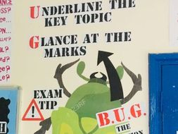 B.U.G. the question classroom display resource | Teaching Resources