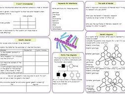 Inheritance revision GCSE worksheet | Teaching Resources