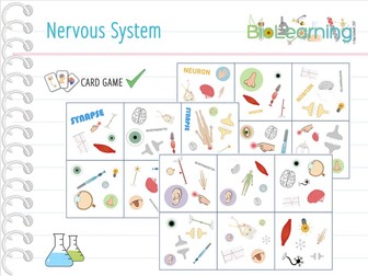 Nervous system - 7x Games and Activities (KS3/KS4) by anjacschmidt ...