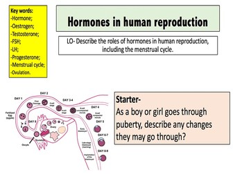 AQA B11 Hormonal coordination by mr_science | Teaching Resources