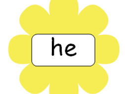 Phase 3 Tricky Words on Flowers | Teaching Resources