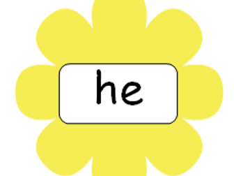 Phase 2,3,4, and 5 Tricky Words on Flowers | Teaching Resources