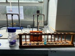 MYP Science Lab Report Checklist | Teaching Resources