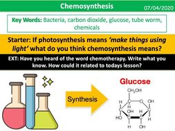 Chemosynthesis | Teaching Resources