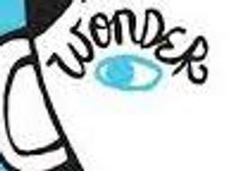 Wonder by R J Palacio - Guided Reading Plans | Teaching Resources