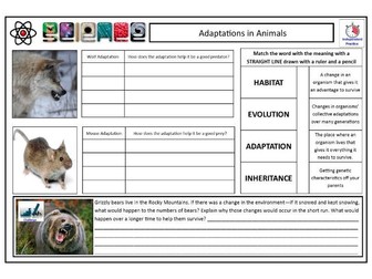 Biology INTERDEPENDENCE Bundle | Teaching Resources