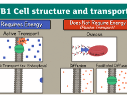B1 Cell structure and transport (AQA) | Teaching Resources