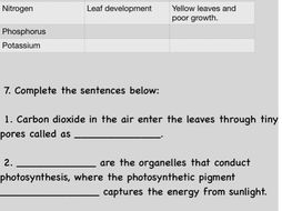 KS3 Science Revision | Teaching Resources