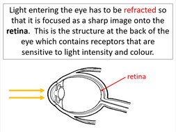 The eye (AQA GCSE Biology) | Teaching Resources