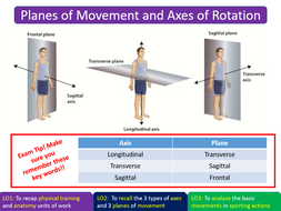 Planes of Movement and Axes of Rotation - AQA GCSE PE (9-1) | Teaching ...