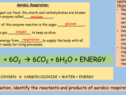 Aerobic Respiration GCSE Full Lesson | Teaching Resources