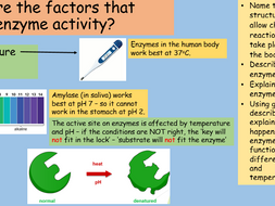 Enzymes GCSE Full Lesson | Teaching Resources
