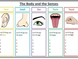 The Body and the Senses - Differentiated | Teaching Resources