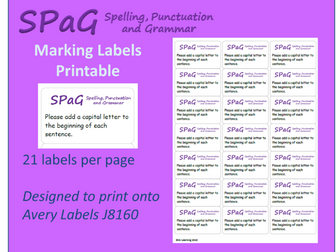 SPaG Adhesive Marking Label Printable Package | Teaching Resources