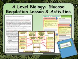 A Level Biology: Regulation of Blood Glucose Lesson & Activities ...