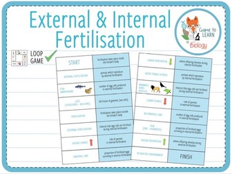Human Reproduction - 13x Activities and Games (KS3/4) | Teaching Resources
