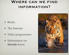 Non-Chronological Report Writing on Tigers - Years 3-5 | Teaching Resources