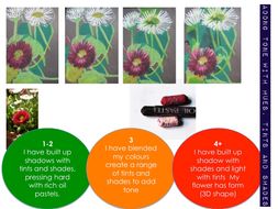 KS3 -Observational flower drawing: building tone with colour | Teaching ...