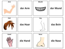 Body Parts: German Vocabulary Card Sort | Teaching Resources