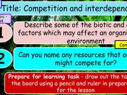 Competition and interdependence GCSE | Teaching Resources