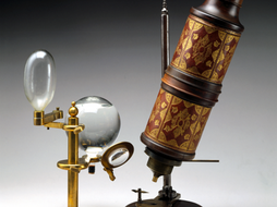 AQA NEW GCSE (2016) Light and Electron Microscope inc. Orders of ...