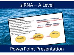 siRNA A Level Biology Presentation - RNA interference by traine23 ...