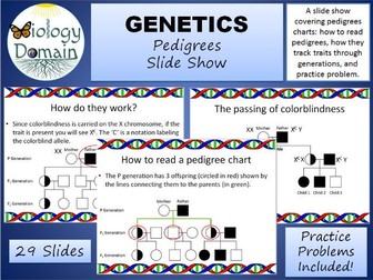 Genetics Bundle | Teaching Resources