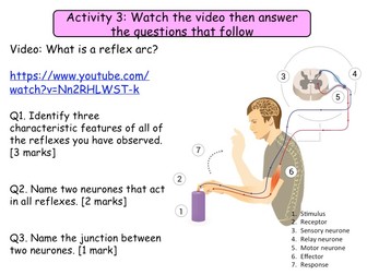 Homeostasis: Principles of Homeostasis, The Structure & Function of the ...